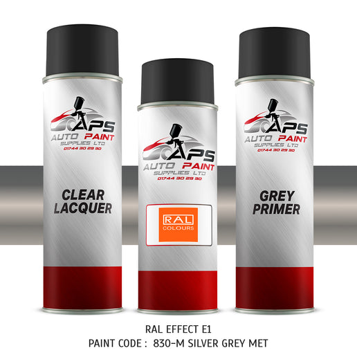 RAL effect paint code 830-M Silver grey metallic